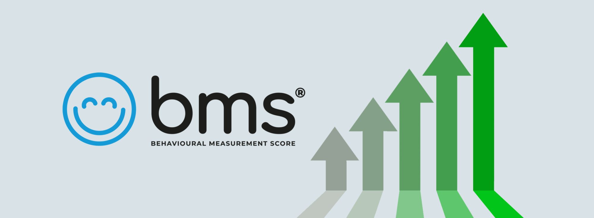Top tips to improving your BMS® performance